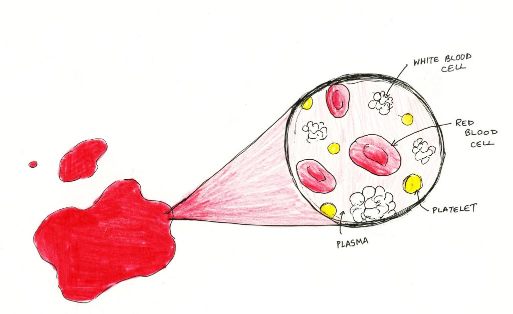 Why do we get nosebleeds? – Little Medical School - Ottawa